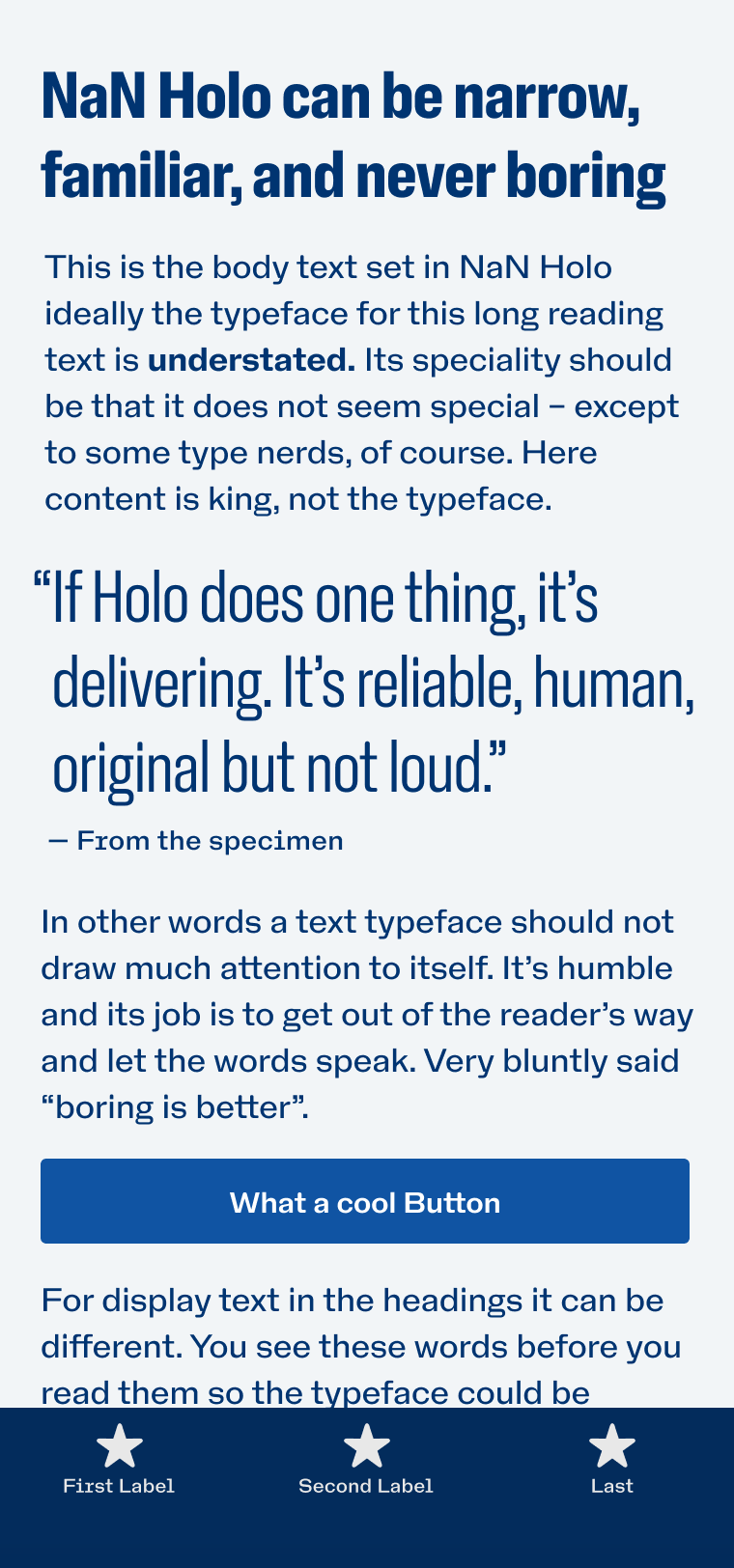 NaN Holo - Pimp my Type