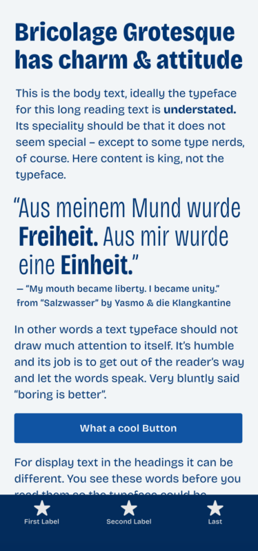 Bricolage Grotesque - Pimp my Type